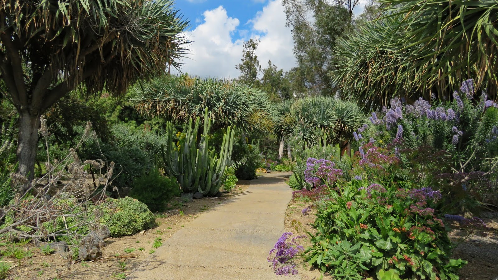 Rolling in an RV - Wheelchair Traveling......: Los Angeles County ...