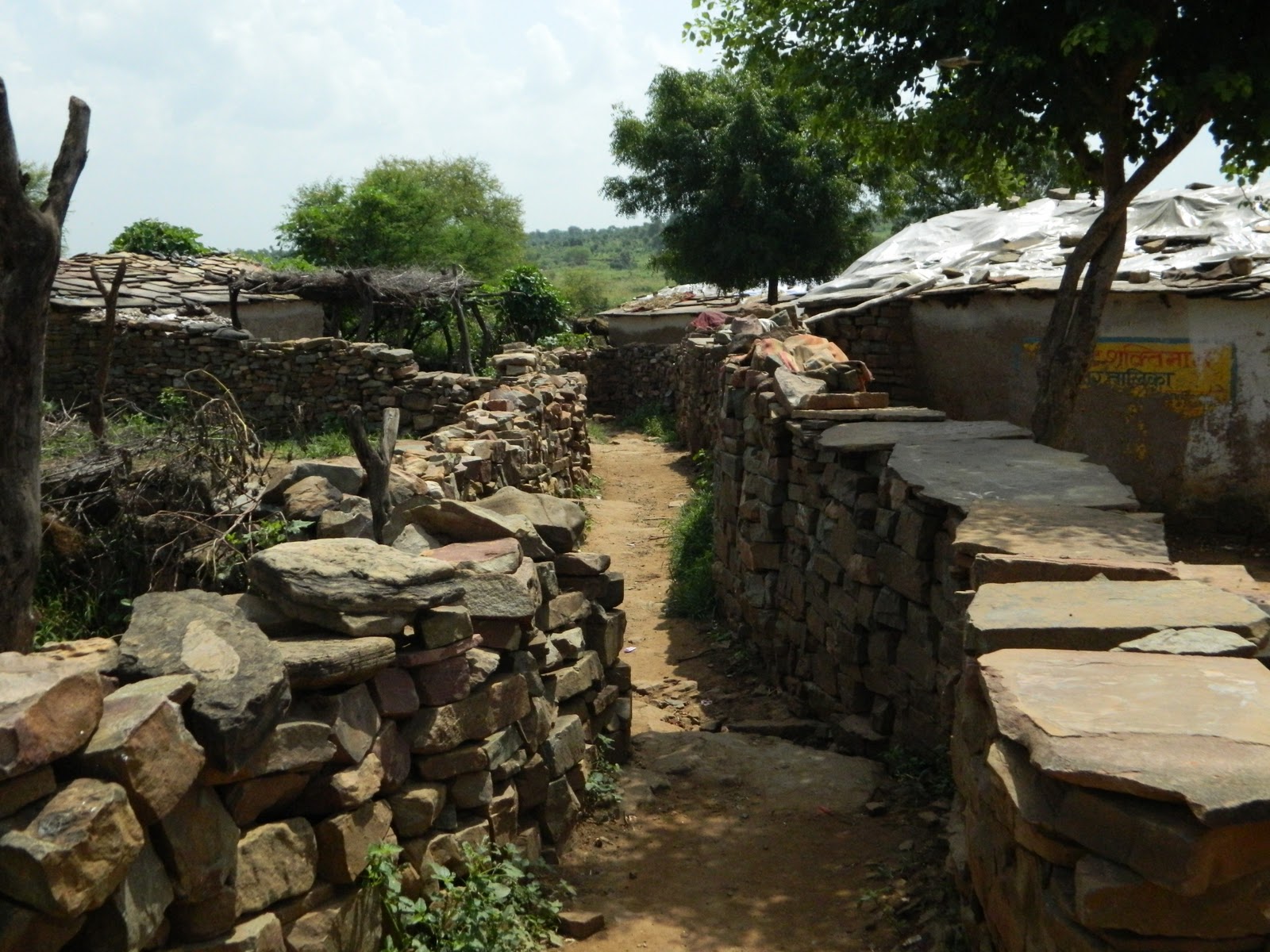 Indian Wildlife,Tourism, Culture and Rural Beauty: Saharia Tribes ...