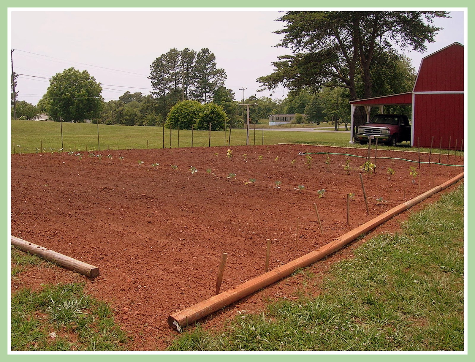 Wit's End Farm: The Garden, The Miracle Within!