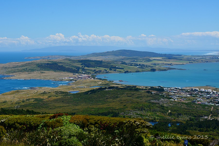 Two Go Tiki Touring: Bluff on a Brilliant Day