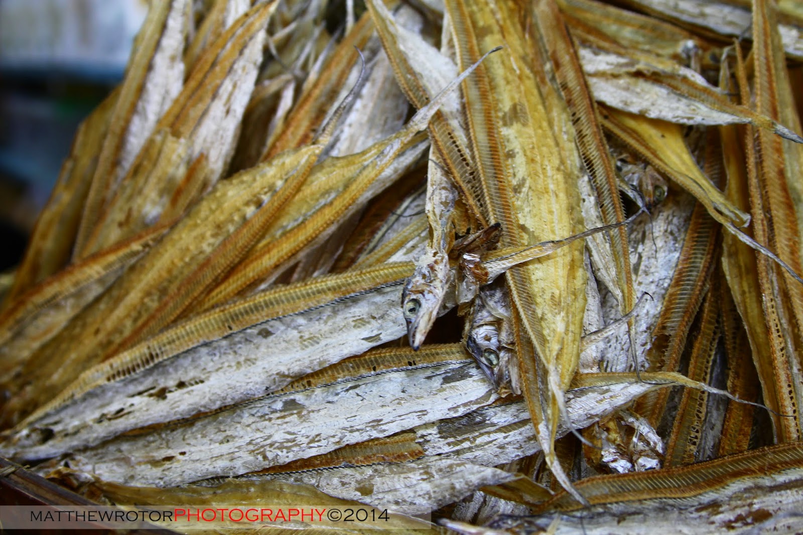 Living with Nature - School on Blog by Dr. Abercio V. Rotor: UST-AB ...