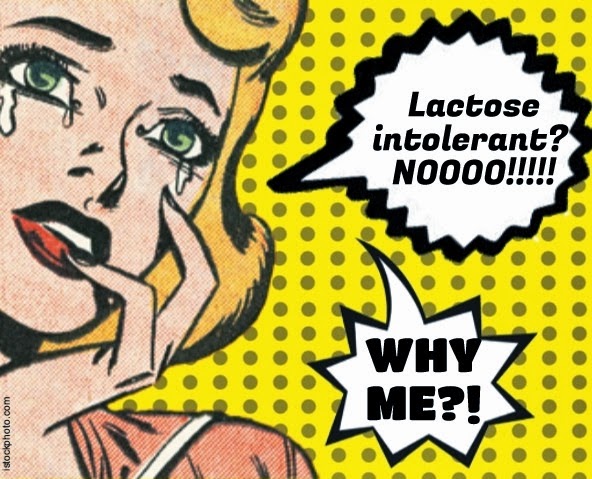 Domaines & Terroirs: 2013