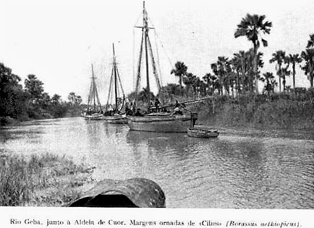 Luís Graça & Camaradas da Guiné: Guiné 61/74 - P17928: Notas de leitura ...