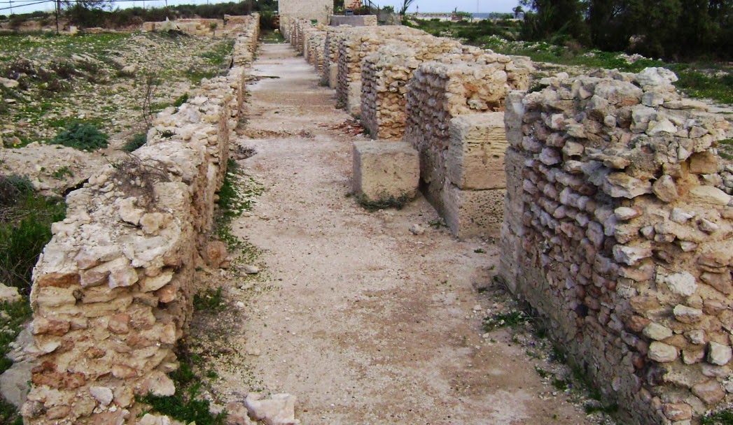 ArqueoLugares: THAPSO. Ras Dimas. Bekalta. Monastir. Túnez