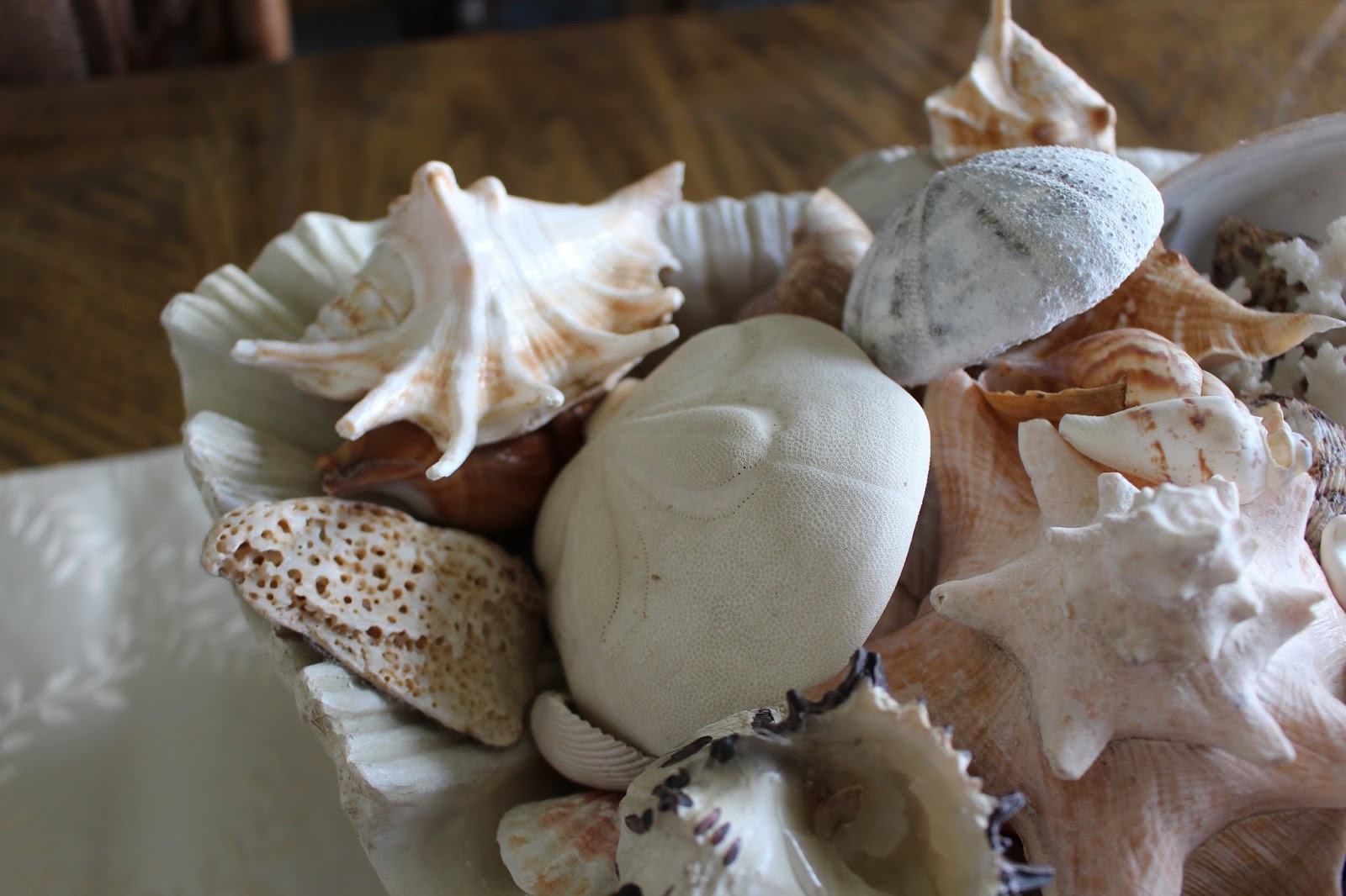 Designs by Pinky: Adding Shells to my Decor for Summer