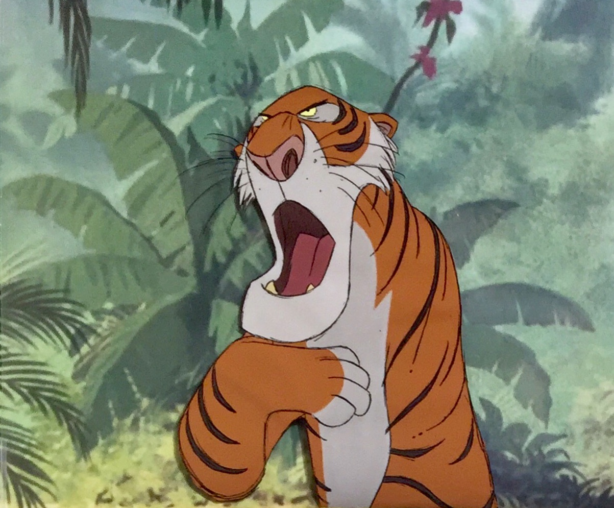 Animation Collection