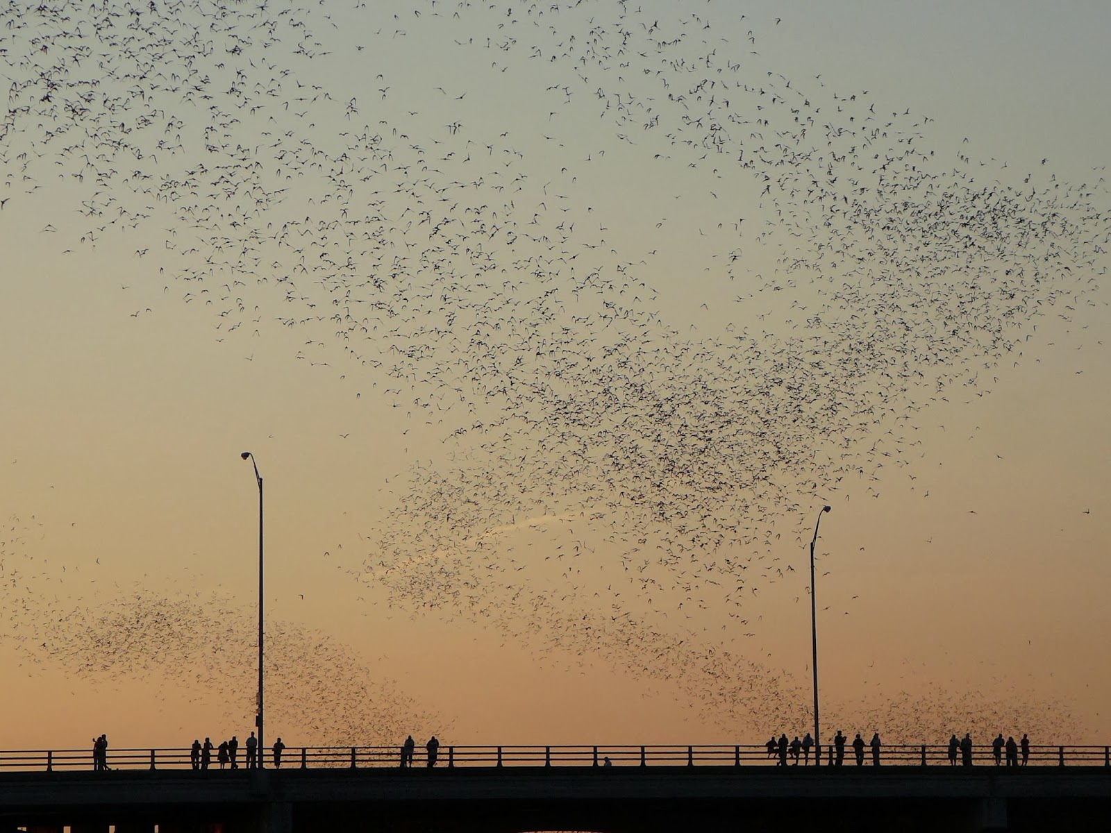 Journal of Random Tangents