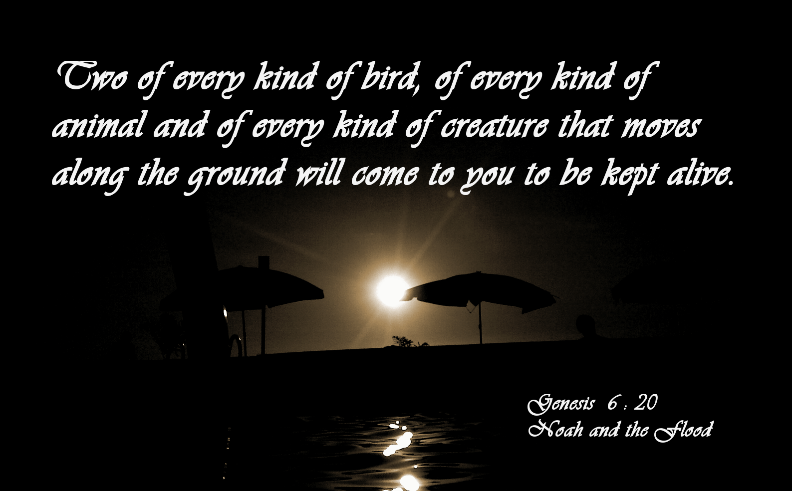 Genesis 6:20 Noah and the Flood