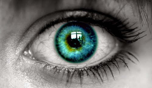 El Ojo Ilustrado | Observación y Análisis de la Práctica Educativa