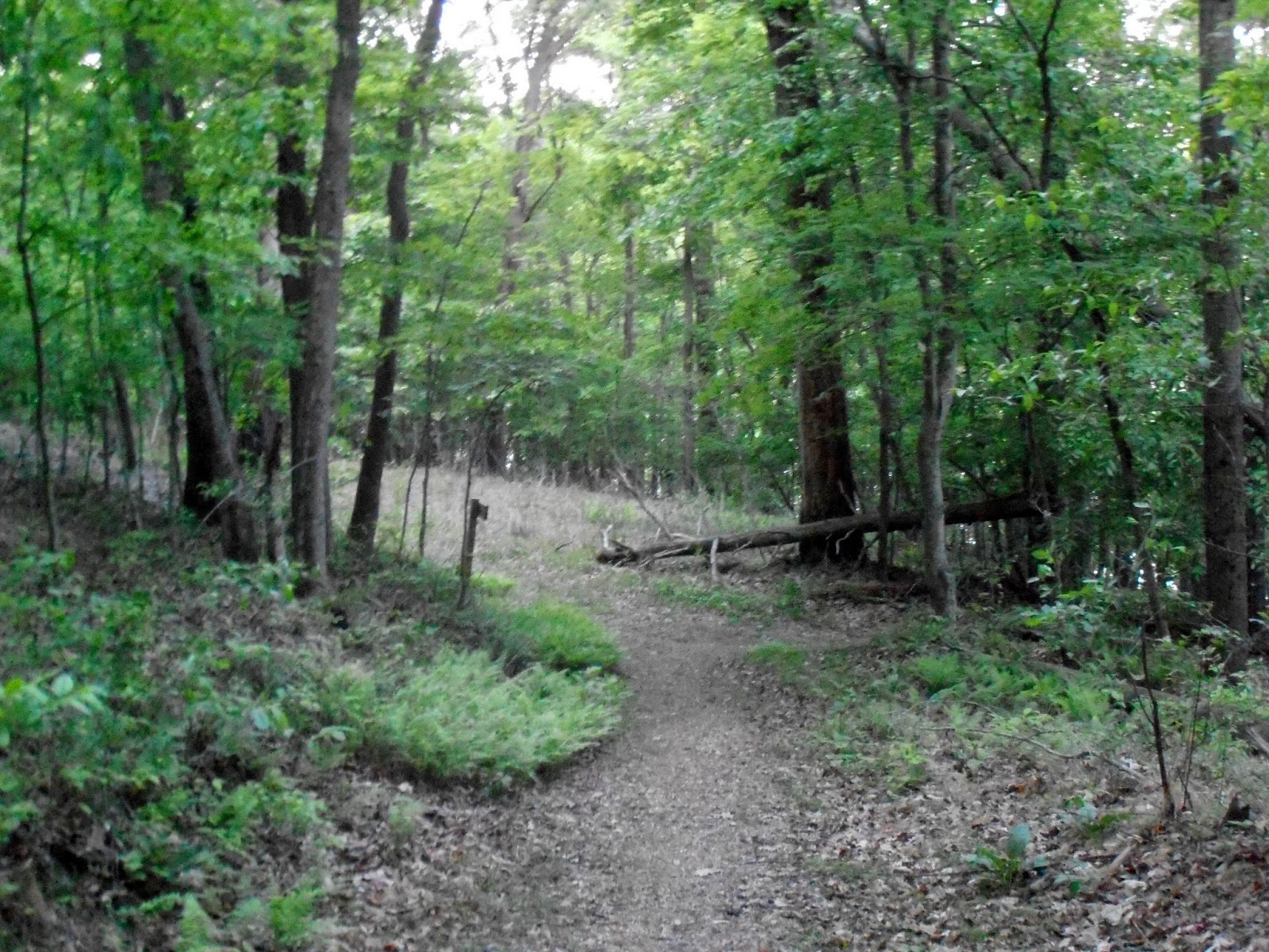 American Travel Journal: Marine Railway Loop Trail - Norris Dam State Park