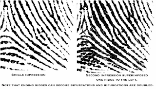 Fingerprint Individualization | ACE-V | Scientific Method: Pattern ...