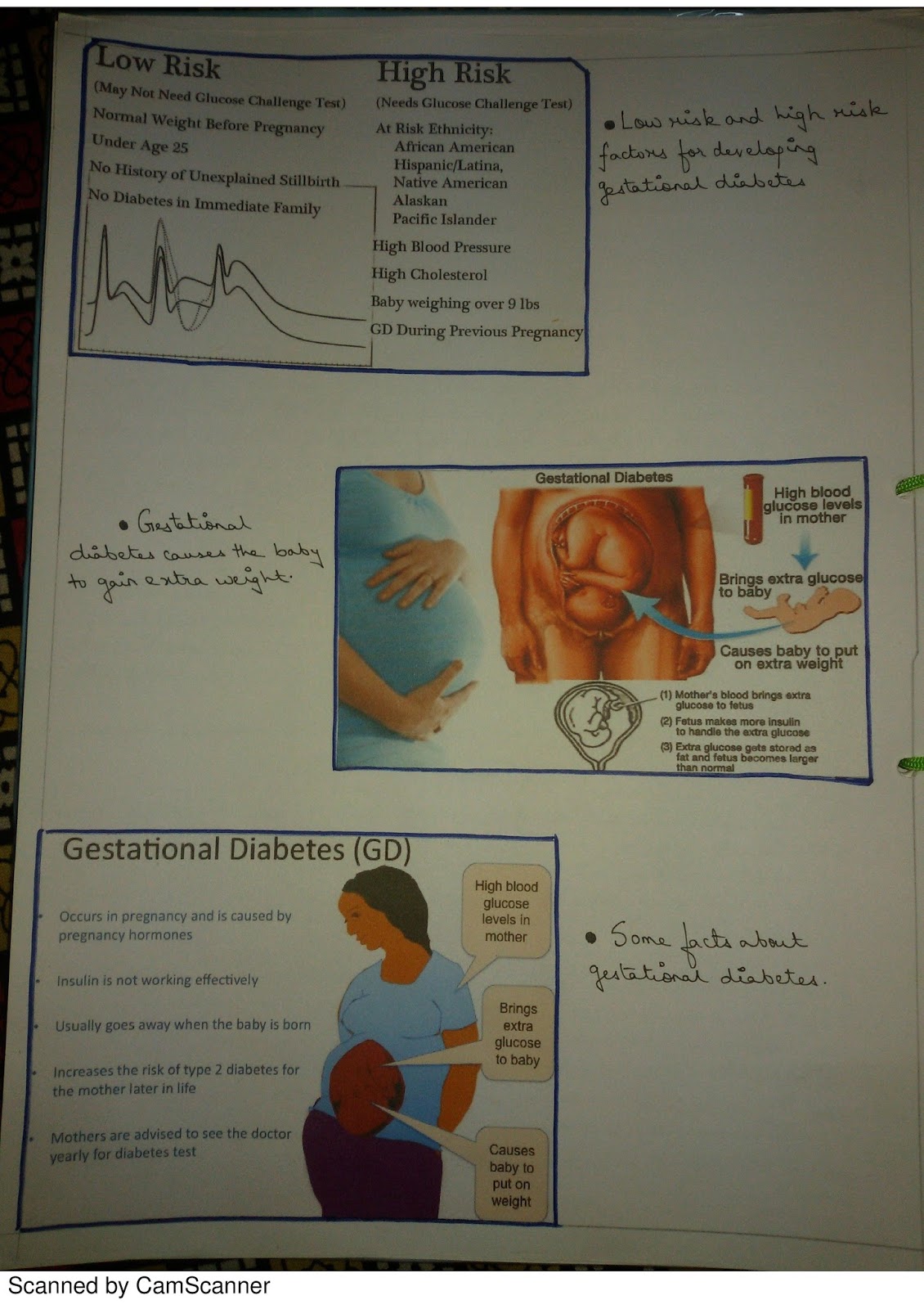 Class 12 SCIENCE Practical Readings and Projects: ISC Biology Project ...