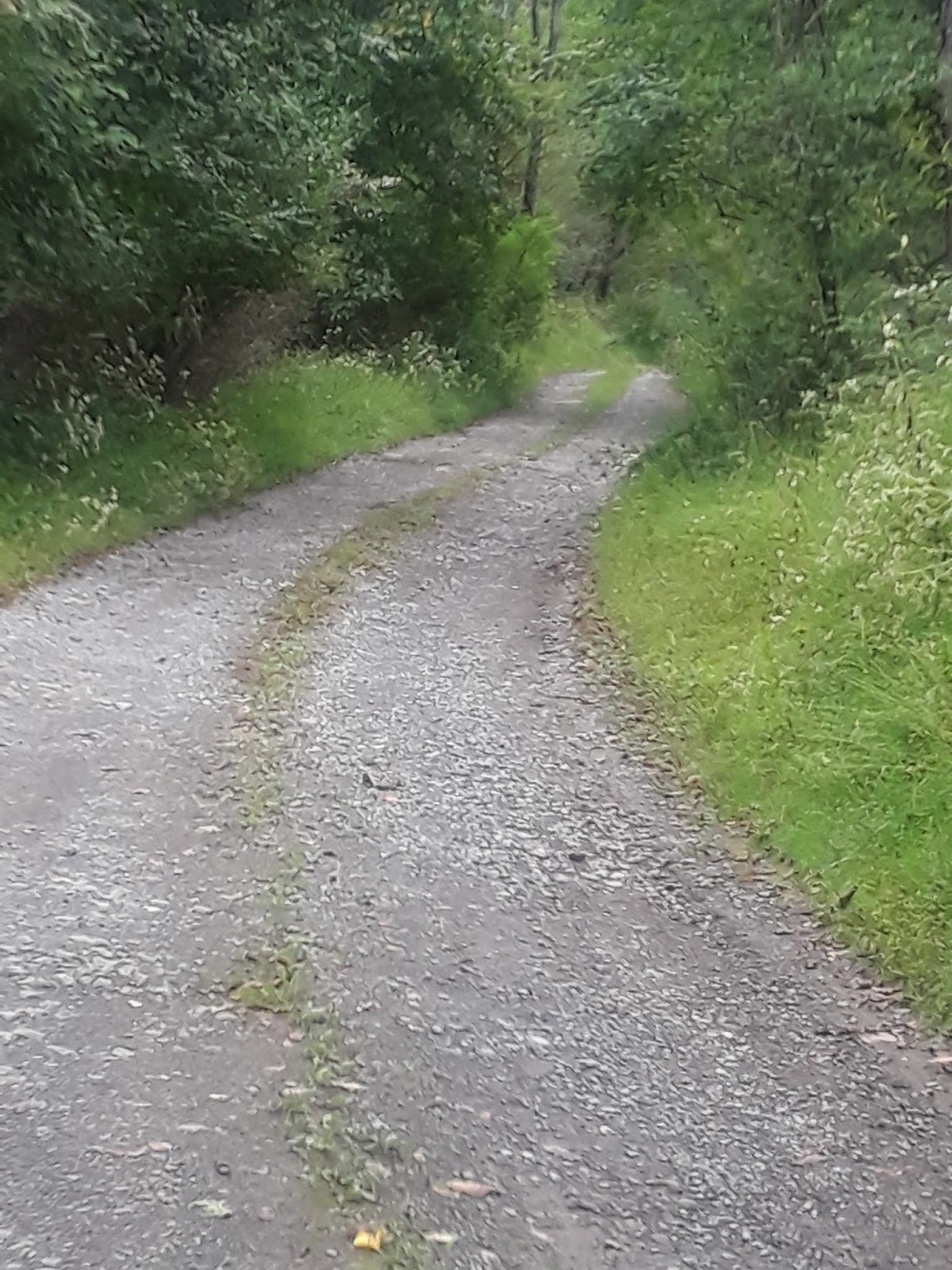 Blue Mist Road, Its Lore and Urban Legends