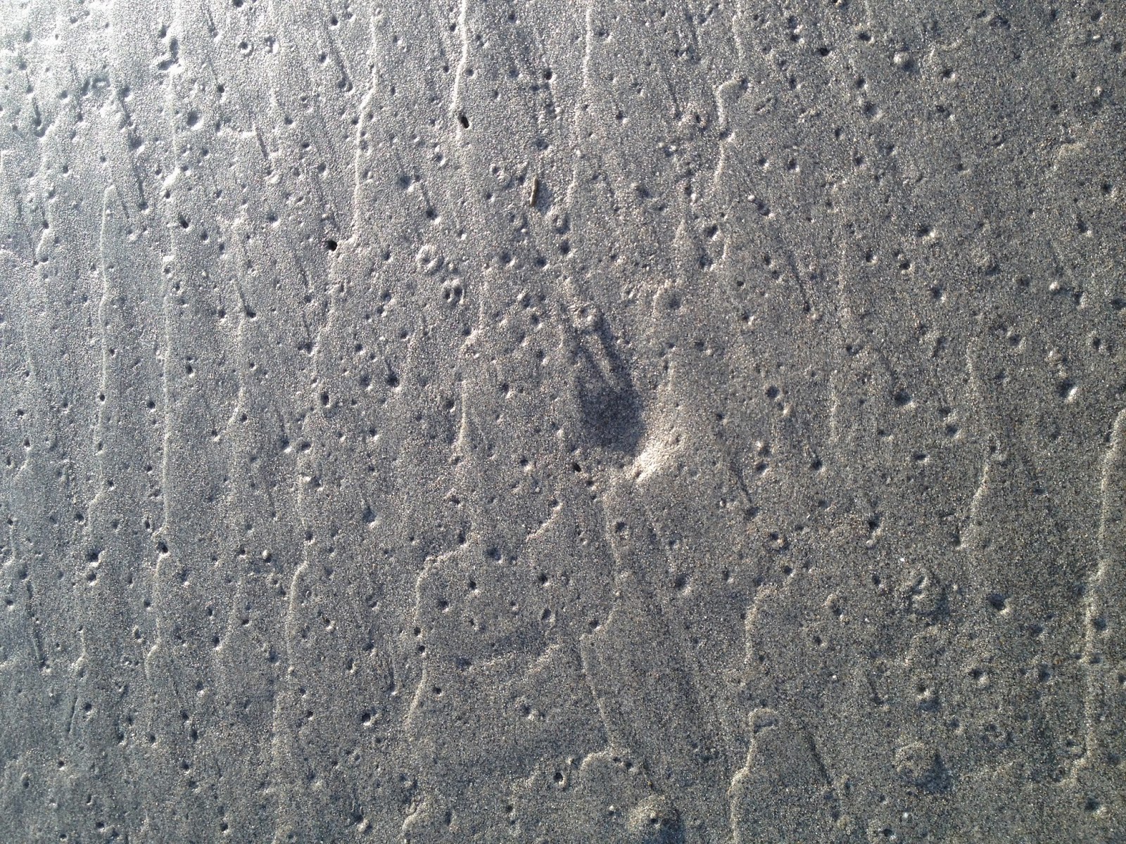 Spartan Fishing & Outdoors: Tutorial: Harvesting Razor Clams