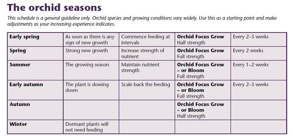 Orchid Care Help and Tips: Orchid Focus - Bloom, Grow and Ultra Information