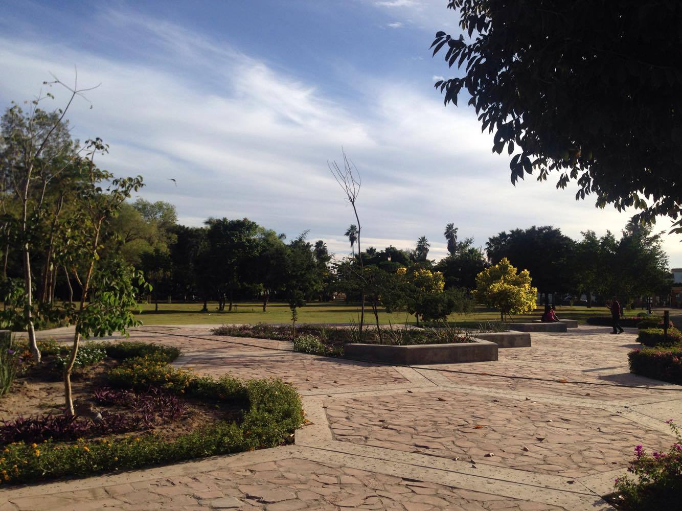 PARQUE SINALOA : CONCLUSIÓN
