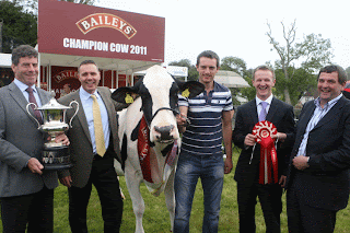 Ireland's Dairy Industry