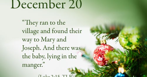 The Lady(Bug) of the Household: Countdown to Christmas