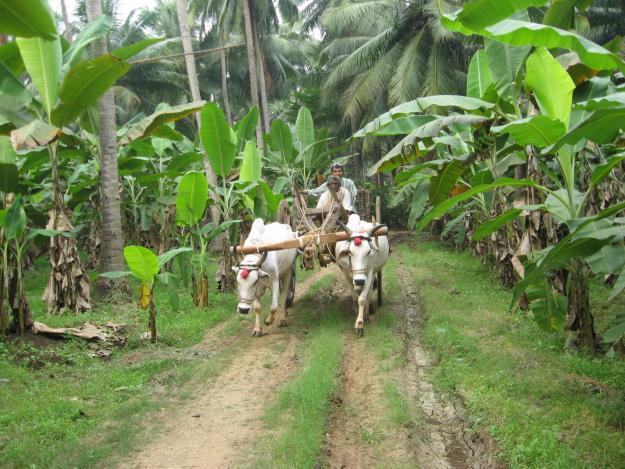 Get Much Information: East Godavari Tourism