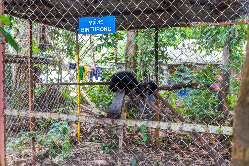 Samui Monkey Center