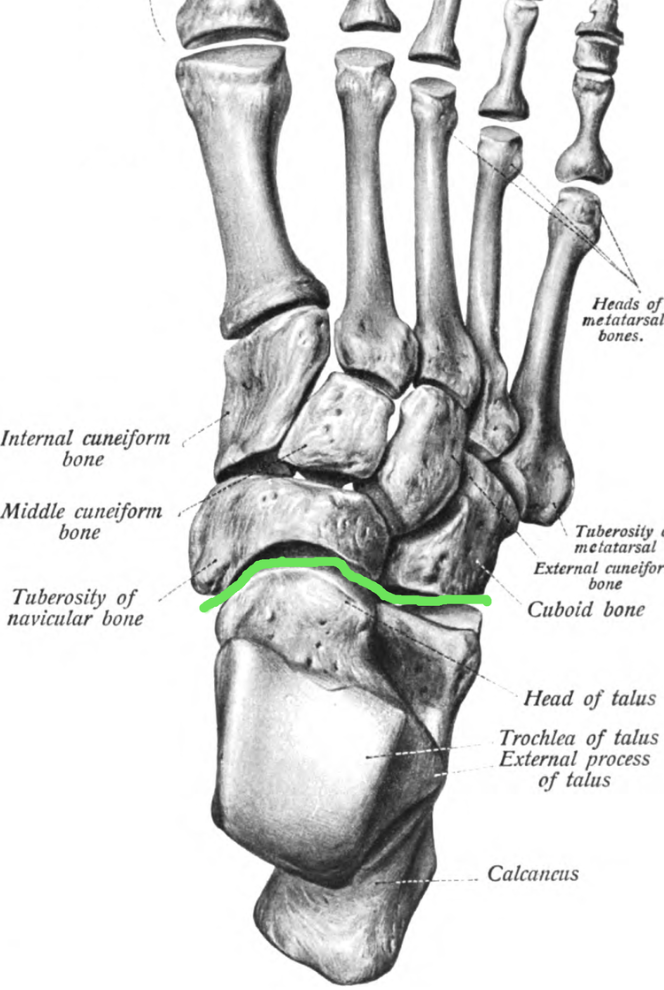 Un médecin du sport vous informe: Entorses et autres traumatismes ...