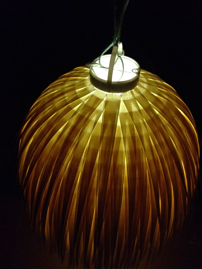 Ms. Lazybones & The Morning Man: paper lantern