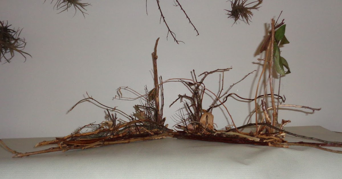 esculturas con ramas: paisajes para armar