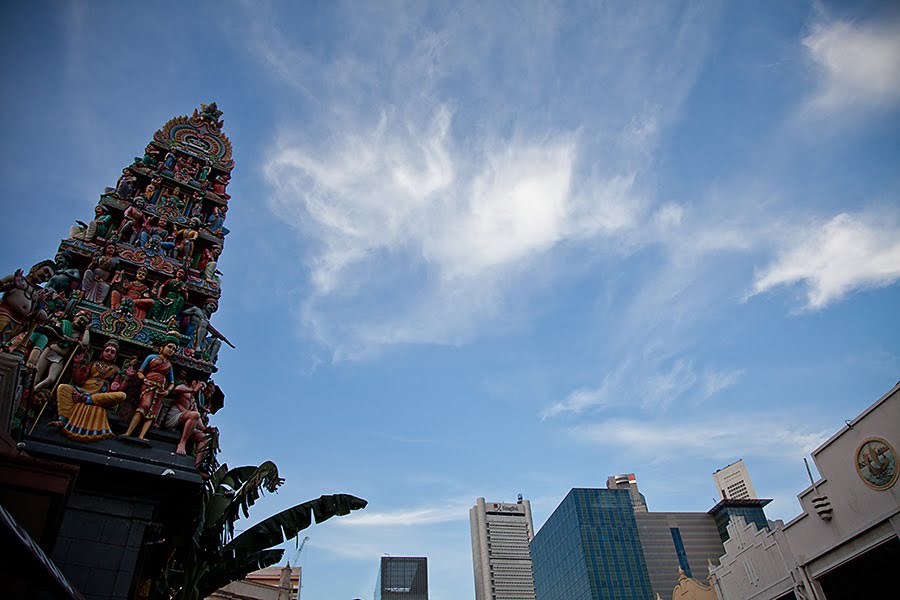postcards from singapore: theemithi : hindu fire walking festival
