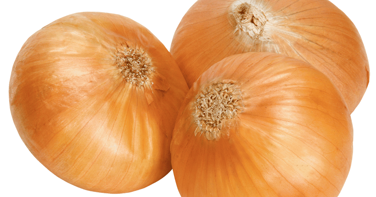 ® Gifs y Fondos Paz enla Tormenta ®: IMÁGENES DE CEBOLLAS