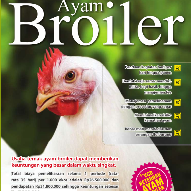 Mengenal Ayam Broiler Pedaging | Panduan Lengkap Budidaya & Peternakan