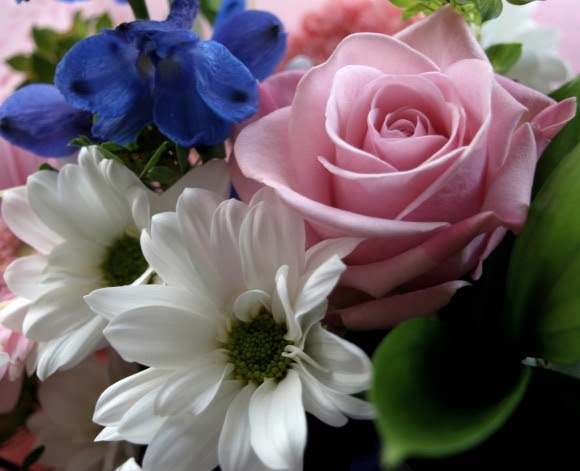 Flowers: Flowers III.