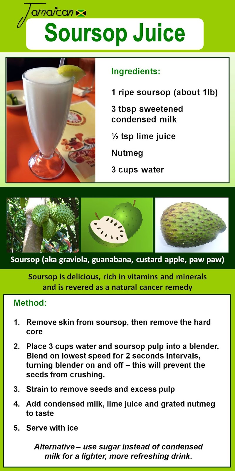 Soursop Juice Recipe With Milk | Bryont Blog