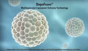 The Science of Innovation: Depofoam Technology; Proprietary Technology ...