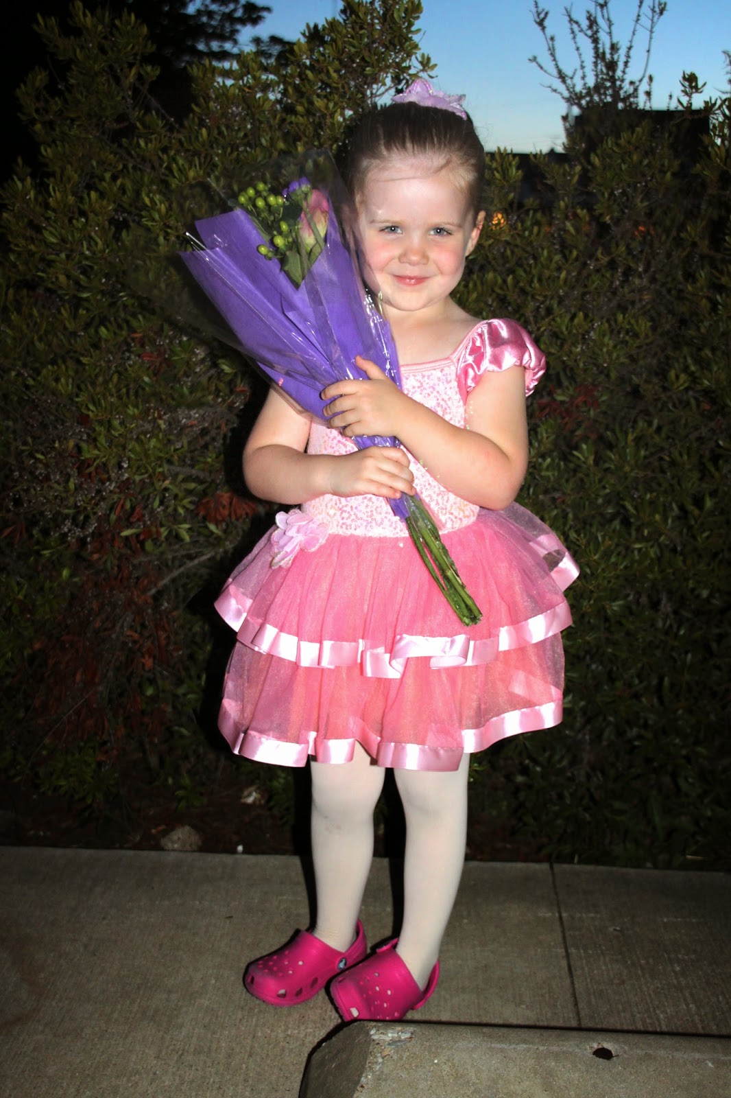 Scarlett the Starlet: Scarlett's Dance Debut: SOTE Dance Recital 2014
