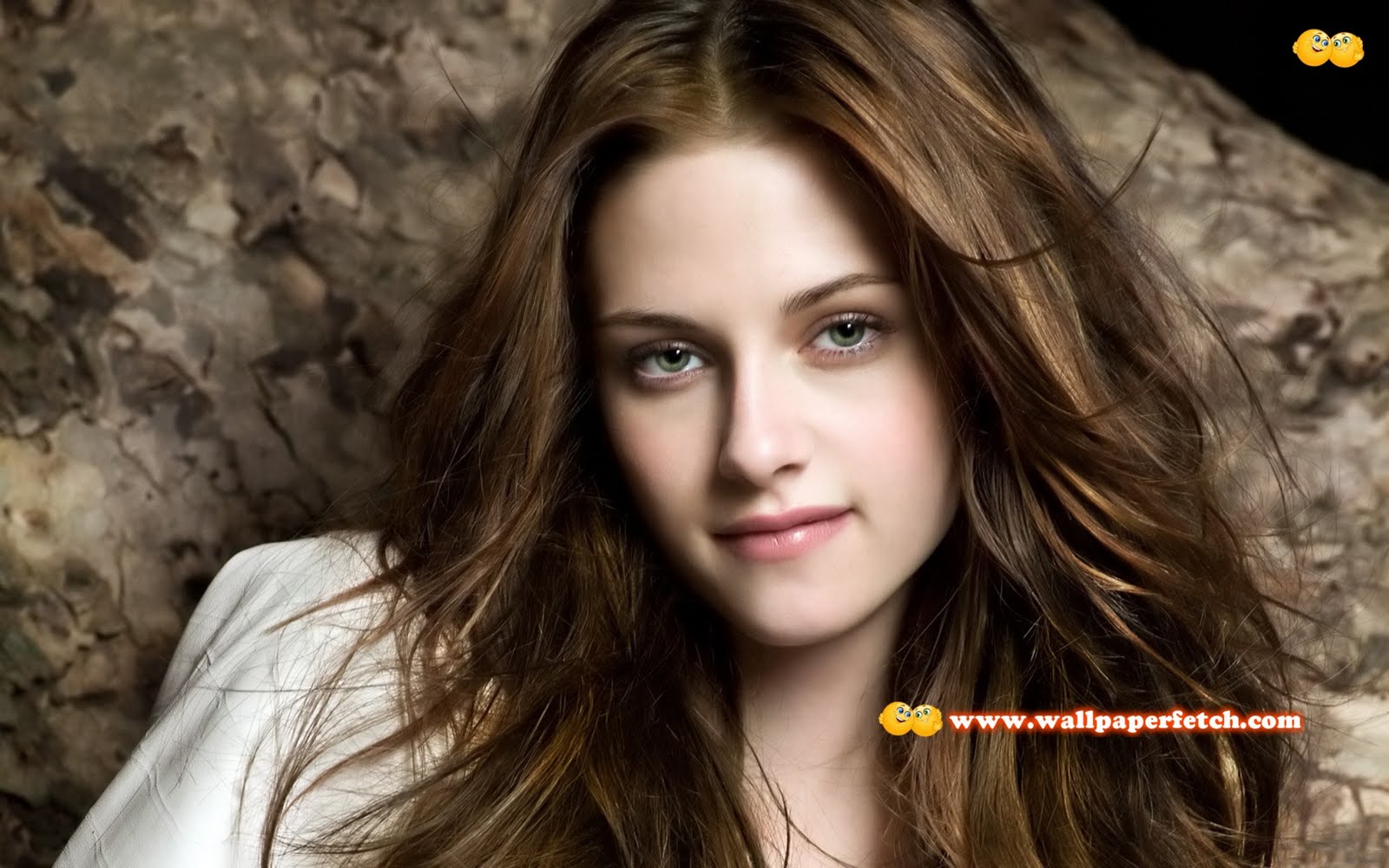 Fetch Wallpapers 50 Sexy Hot Girls Wallpapers