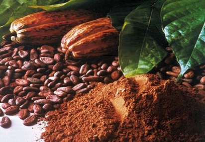 Cara Mengolah Buah Coklat Menjadi Bubuk Cokelat - Pengolahan Sederhana