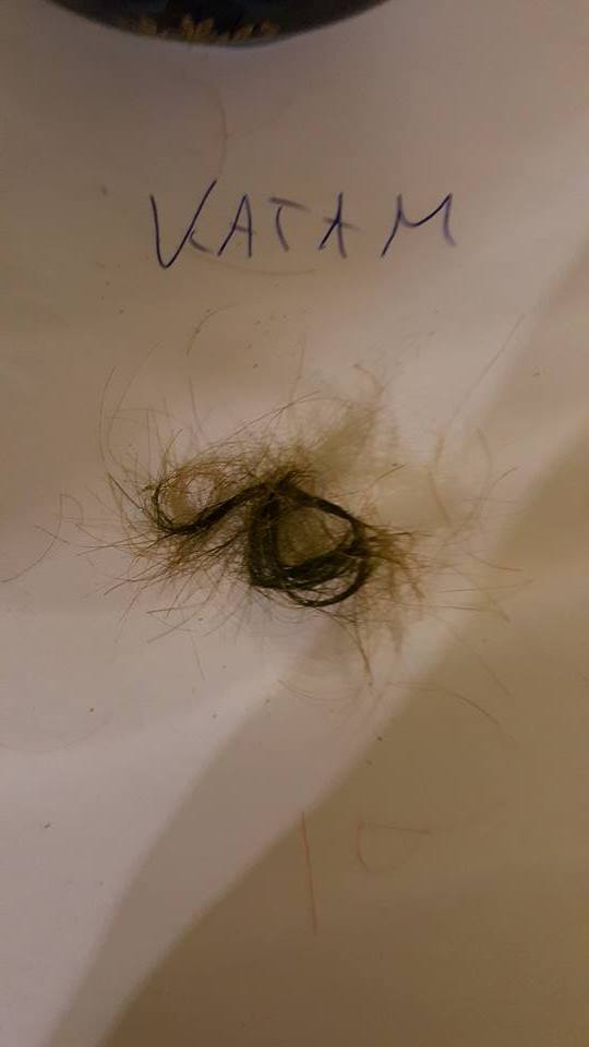 Co wiem o katam (Buxus Dioica). Testy na wlosach.