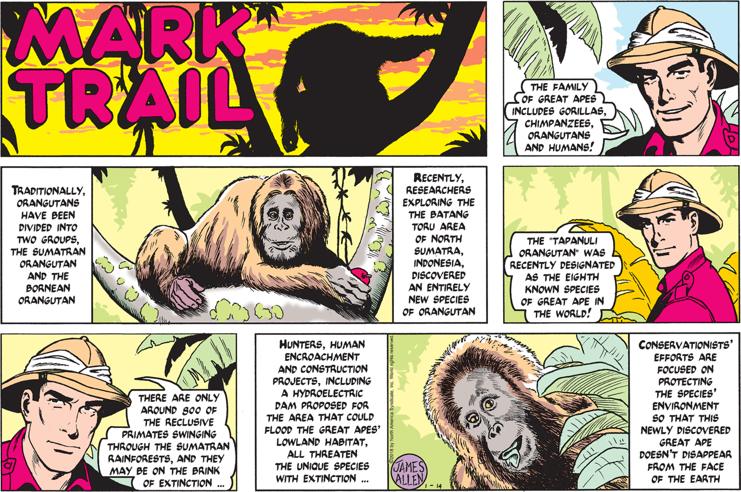 Old Comics world: Mark Trail Daily Strips (2018) - King features