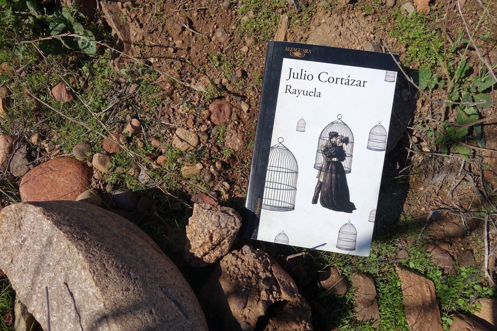 Elige un libro: mayo 2017