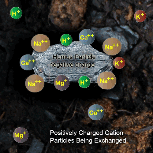 Kapasitas Tukar Kation; Hubungan KTK dengan pH tanah; Tekstur Tanah dan ...