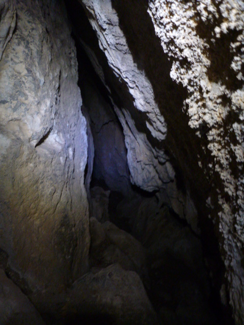 Utah Caves: Guano Abyss