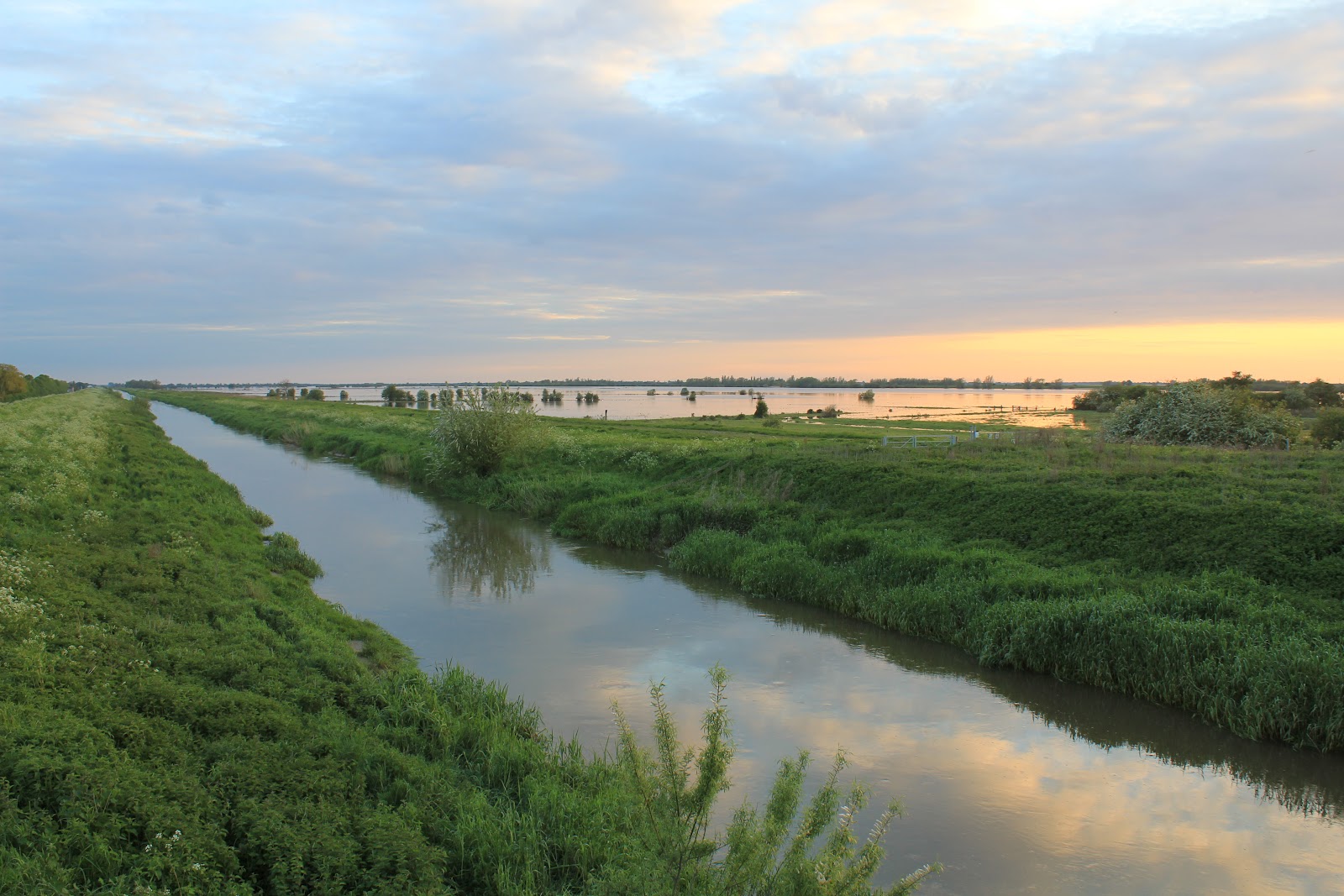 Fenland fiddle-faddle: Fabulous Fenscape in focus