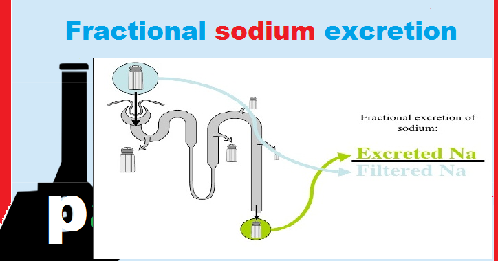 تحليل ال (Fractional sodium excretion)