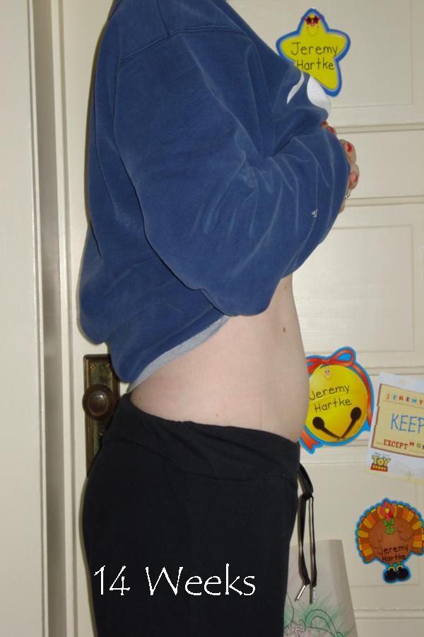 Misty and Matt's Blog: 6, 9 and 14 Week Belly Shots