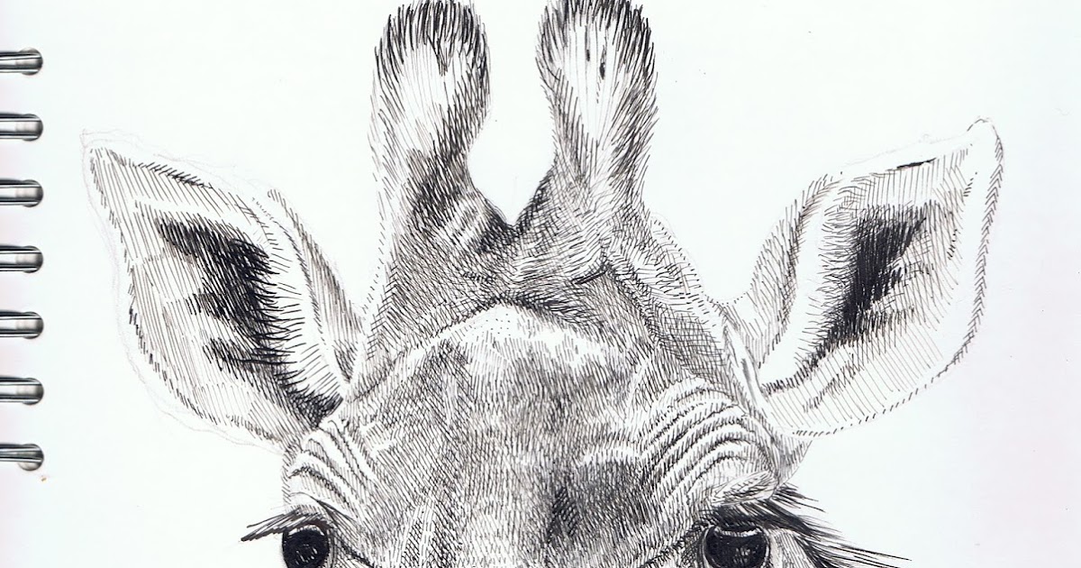 Sunny Side Up: Half a Giraffe