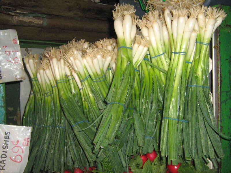 El cuexcomate: ¿Qué es el cebollín?