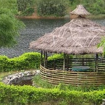 Gavi Kerala-Complete Information about Gavi,Kerala