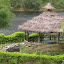 Gavi Kerala-Complete Information about Gavi,Kerala