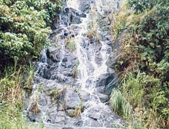 Tour Now Center: Buenavista, Agusan del Norte, Philippines