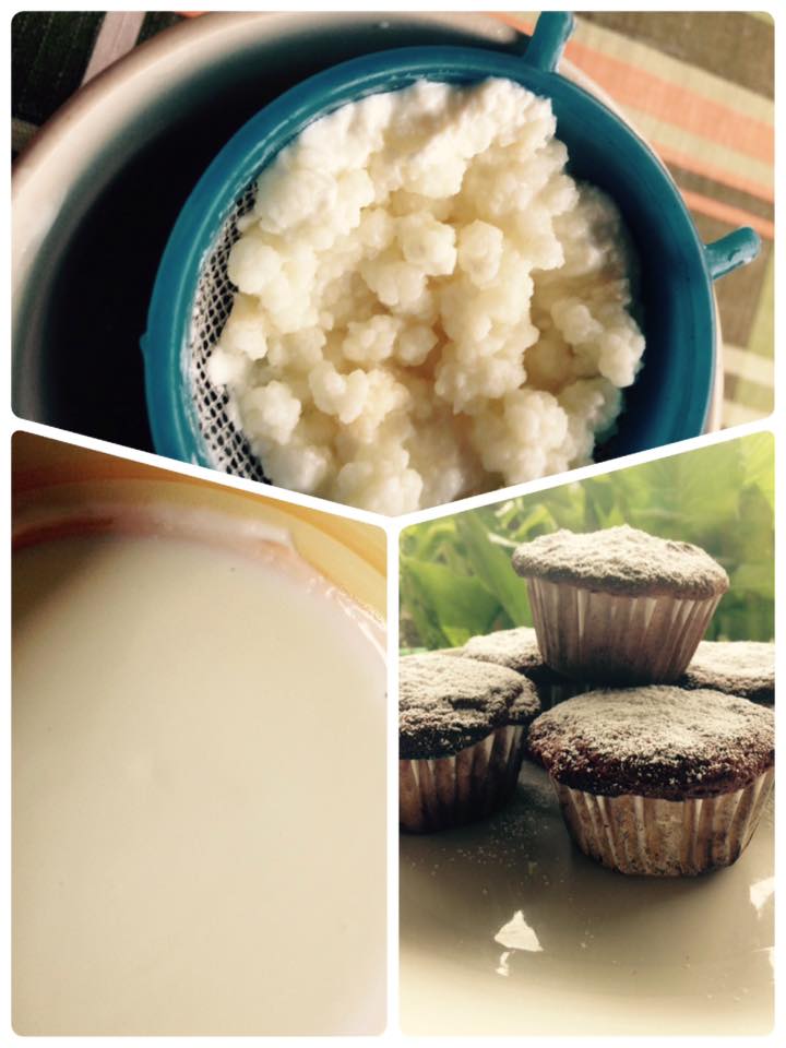 KEFIR SALUDABLE CHILE: 2015